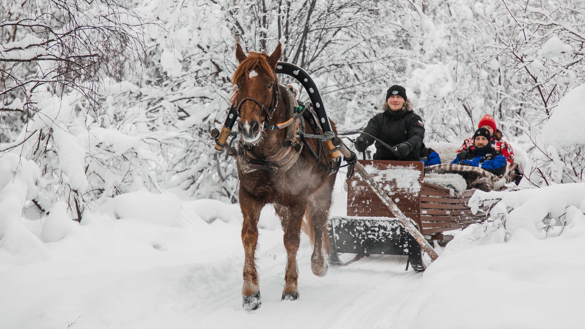 Winter vacation at Aurora Village Ivalo Finland - Aurora Village, Ivalo ...
